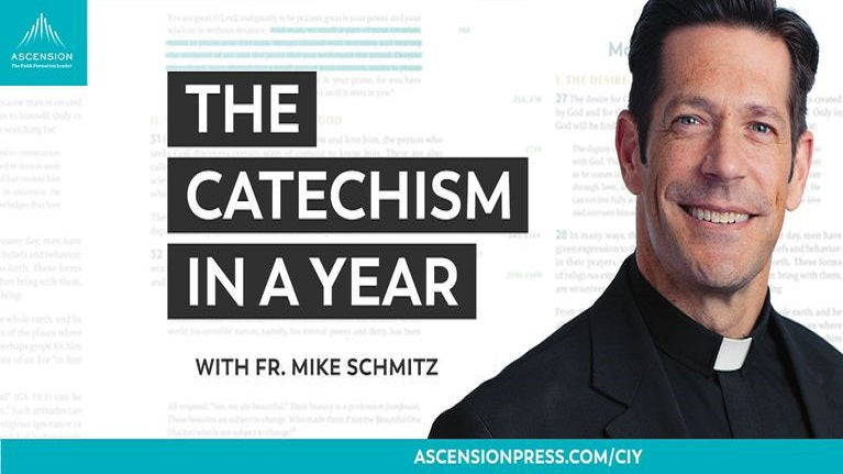 Fr. Mike - Catechism in a Year Podcast – Veritas Catholic Books & Gifts